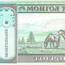 Things to Know Before Buying Lots for Sale | The Lot Store