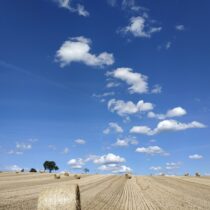 Factors to Consider When Purchasing Land Lots for Sale | The Lot Store