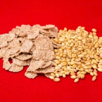 The Benefits of Investing in Cheap Lots | The Lot Store