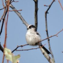 The Ultimate Guide to Scoring a Bargain Lot for Sale Near Me | The Lot ...