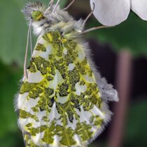 Tips for Successfully Purchasing a Lot of Land for Sale | The Lot Store